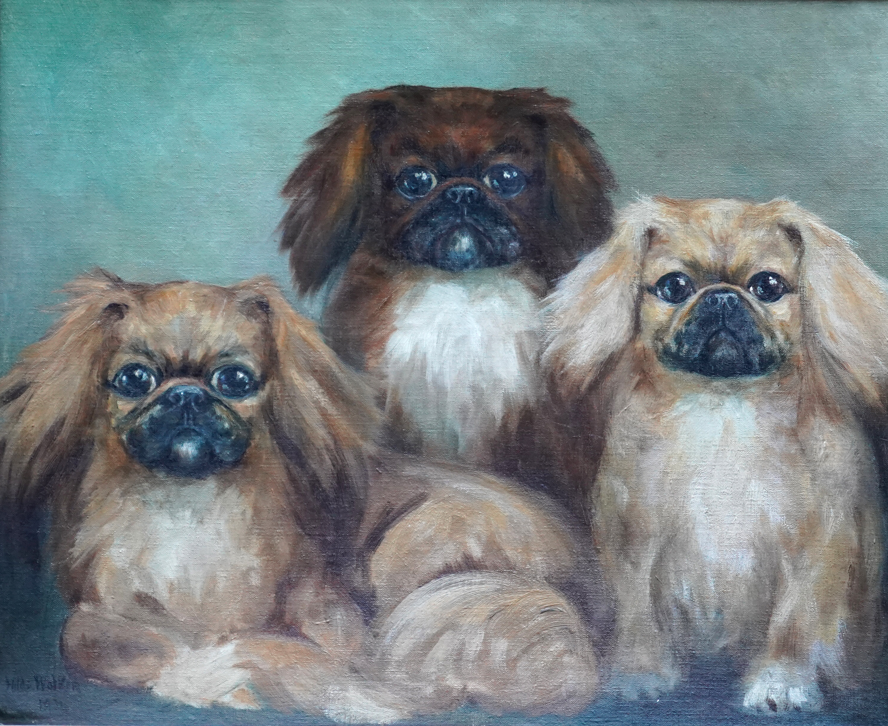 Hilda Annetta Walker - Portrait of Three Pedigree Pekingese Dogs ...