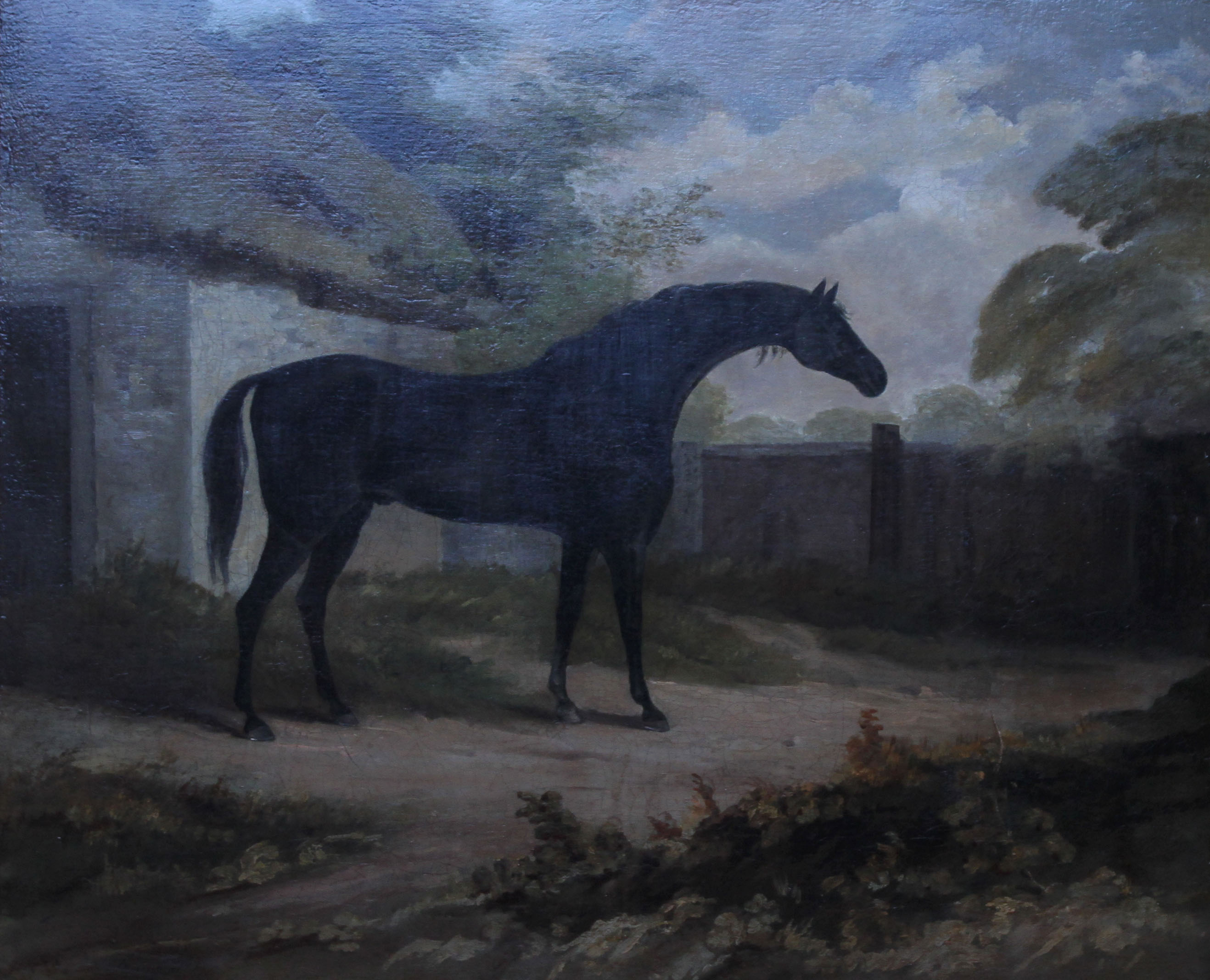 John Boultbee - Trumpator Black Racehorse. British Old Master Art ...