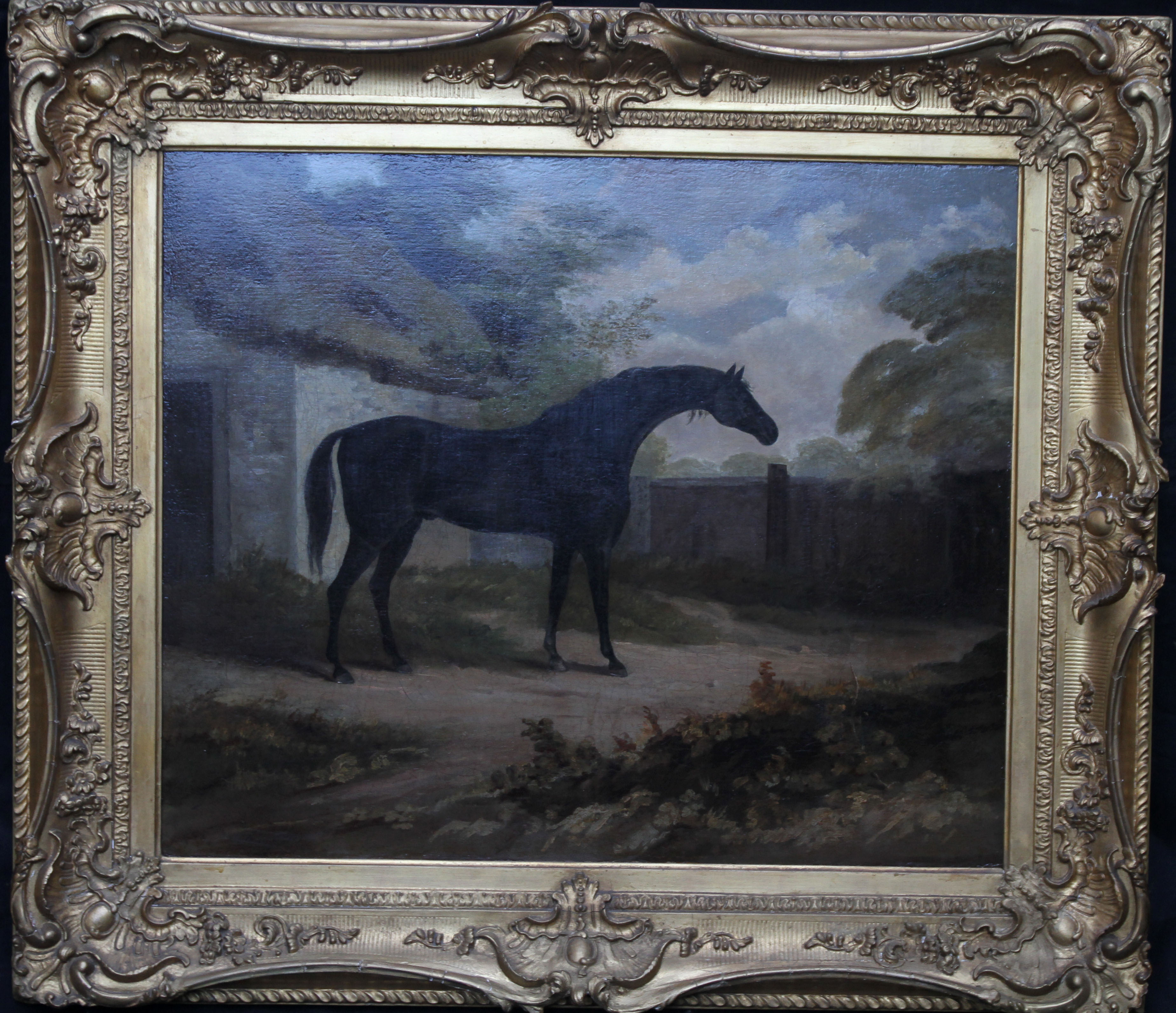 John Boultbee - Trumpator Black Racehorse. British Old Master Art ...