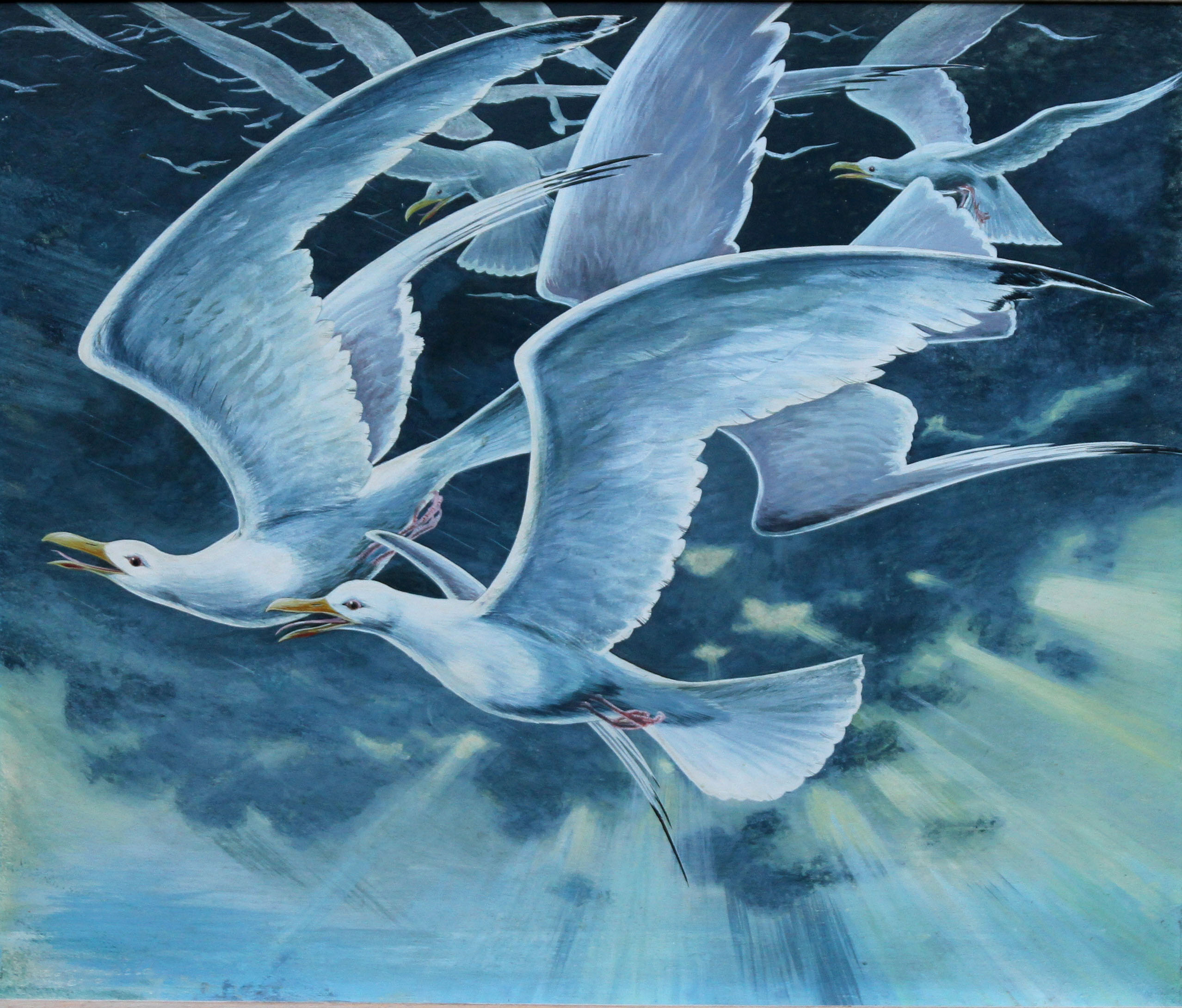Stuart Maxwell Armfield - Seagulls -St Ives artist egg tempera oil ...